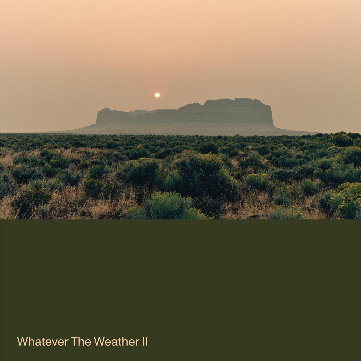 Whatever The Weather - II (Coloured) – Le Noise